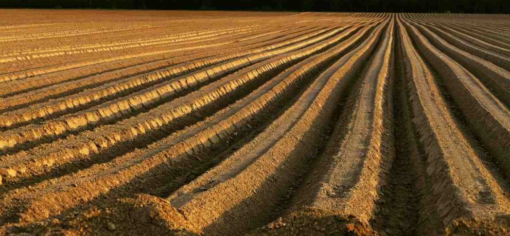 What are the 4 methods of land preparation? - ARC Engineers, Inc.